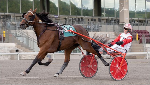 Marks Lowered In Keystone Classic | Standardbred Canada