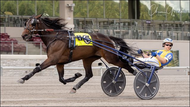 Marks Lowered In Keystone Classic | Standardbred Canada