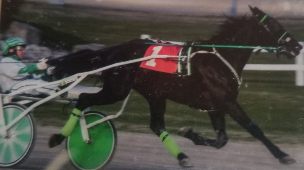 New Fall Extravaganza Entries | Standardbred Canada