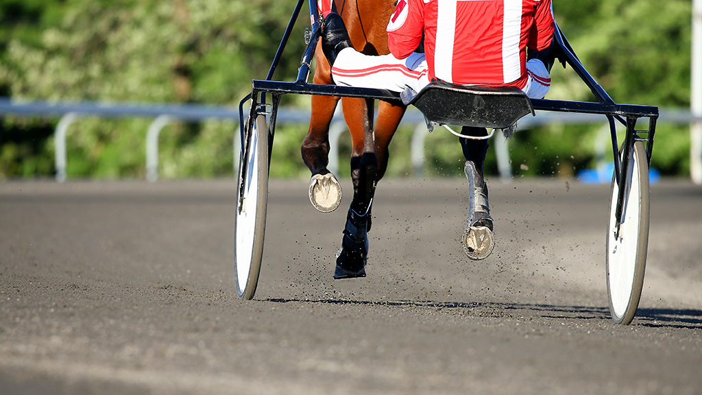 Trot | Standardbred Canada