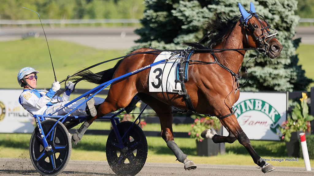 You Got It Kemp Rebounds For Mohawk Feature Victory | Standardbred Canada