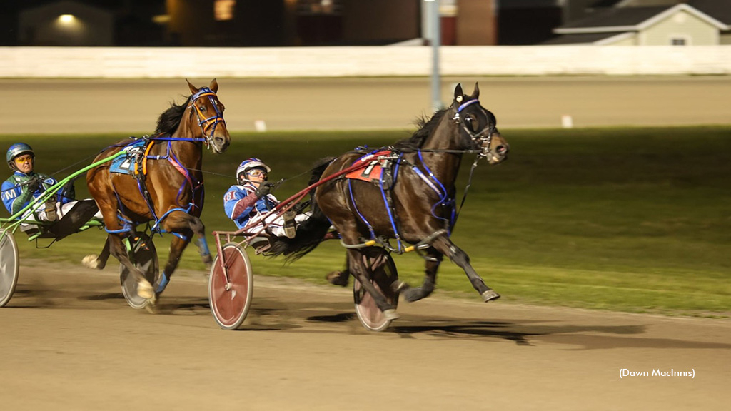 House Edge Hanover Commanding In Summerside Preferred | Standardbred Canada