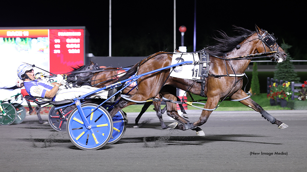Odds On Mr Mamba | Standardbred Canada