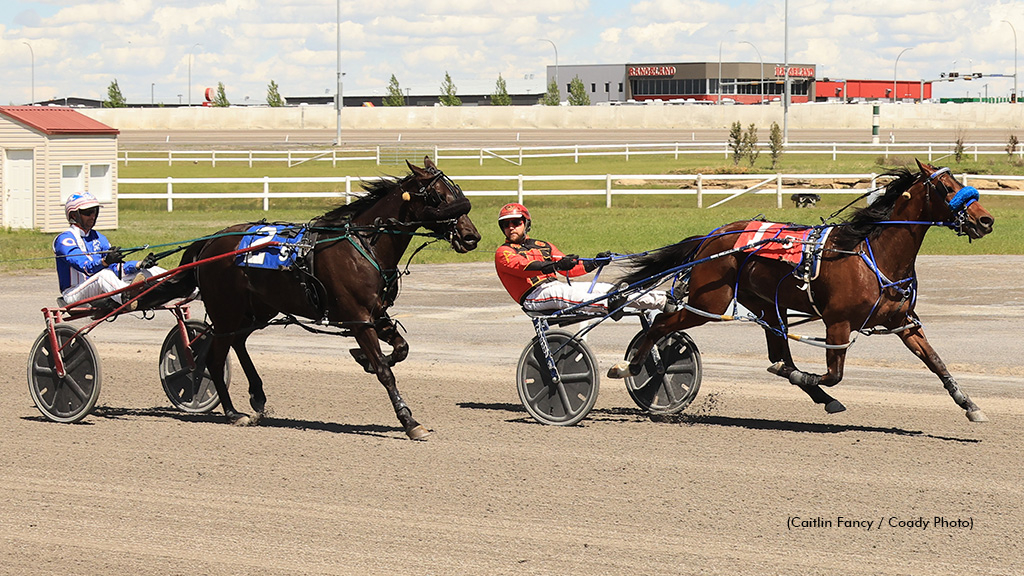 Y V Weller | Standardbred Canada