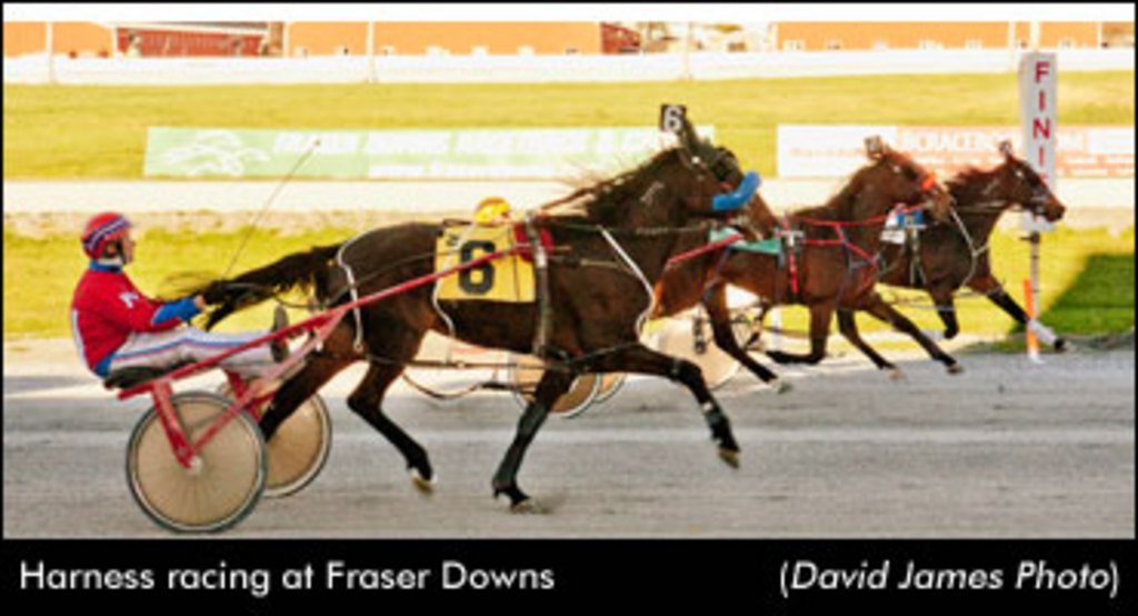 Safety Second First In Fraser Final | Standardbred Canada